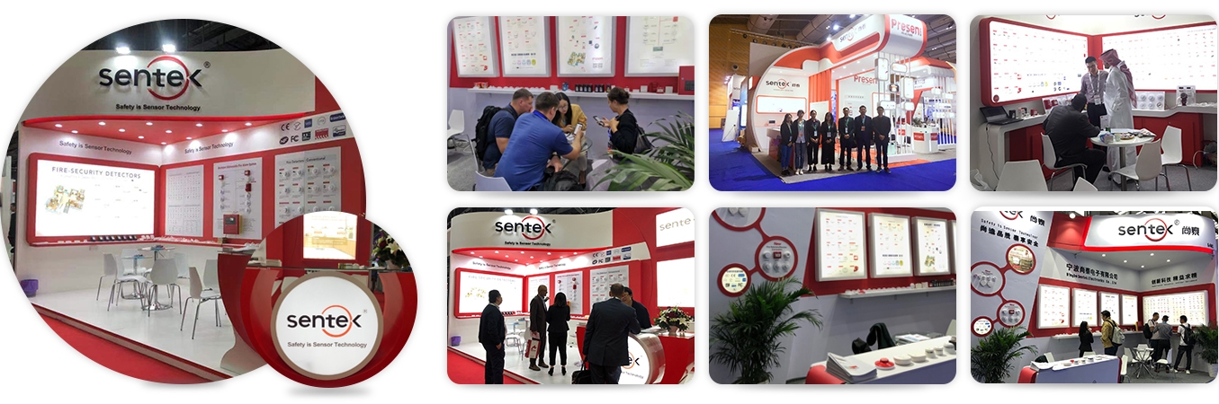 Company Profile - Home-Ningbo Sentek Electronics CO.，Ltd